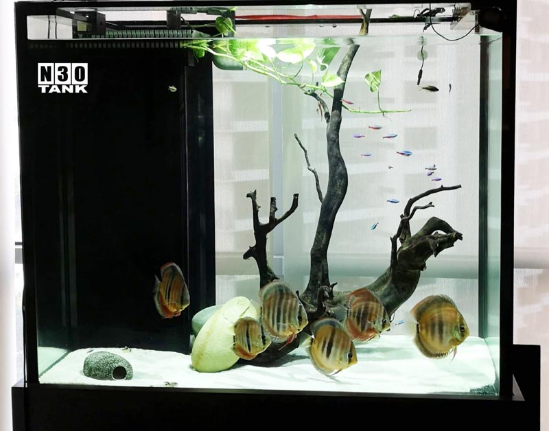 3 Feet Tanks - Custom-made 3ft Aquarium Cabinet - N30 Tank