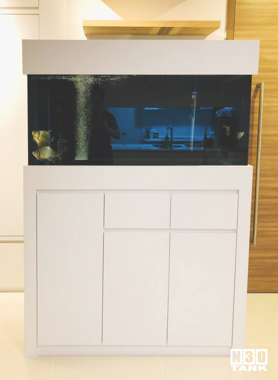 4 Feet Tanks - Custom-made 4ft Aquarium Cabinet - N30 Tank