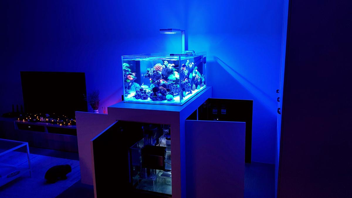 4 Feet Tanks - Custom-made 4ft Aquarium Cabinet - N30 Tank