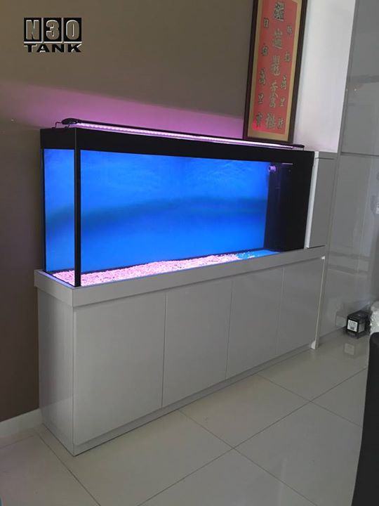 5 Feet Tanks - Custom-made 5ft Aquarium Cabinet - N30 Tank