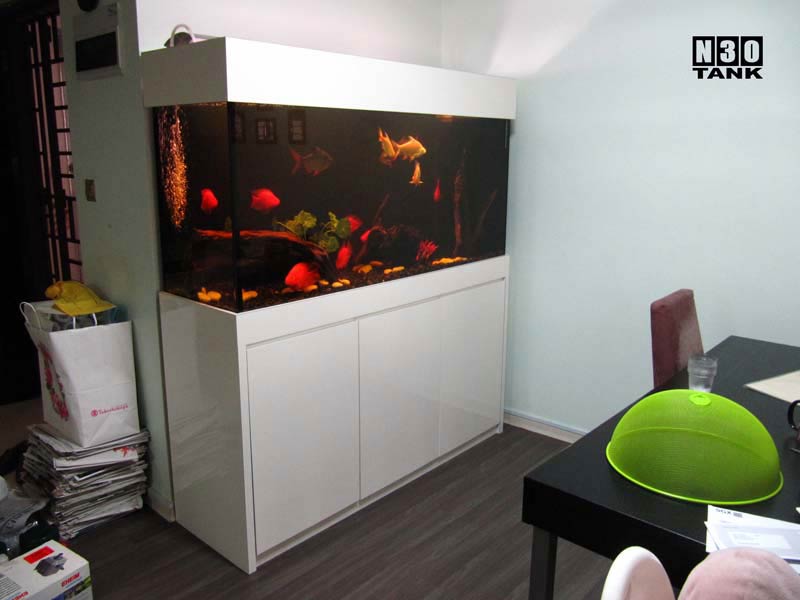 5 Feet Tanks - Custom-made 5ft Aquarium Cabinet - N30 Tank