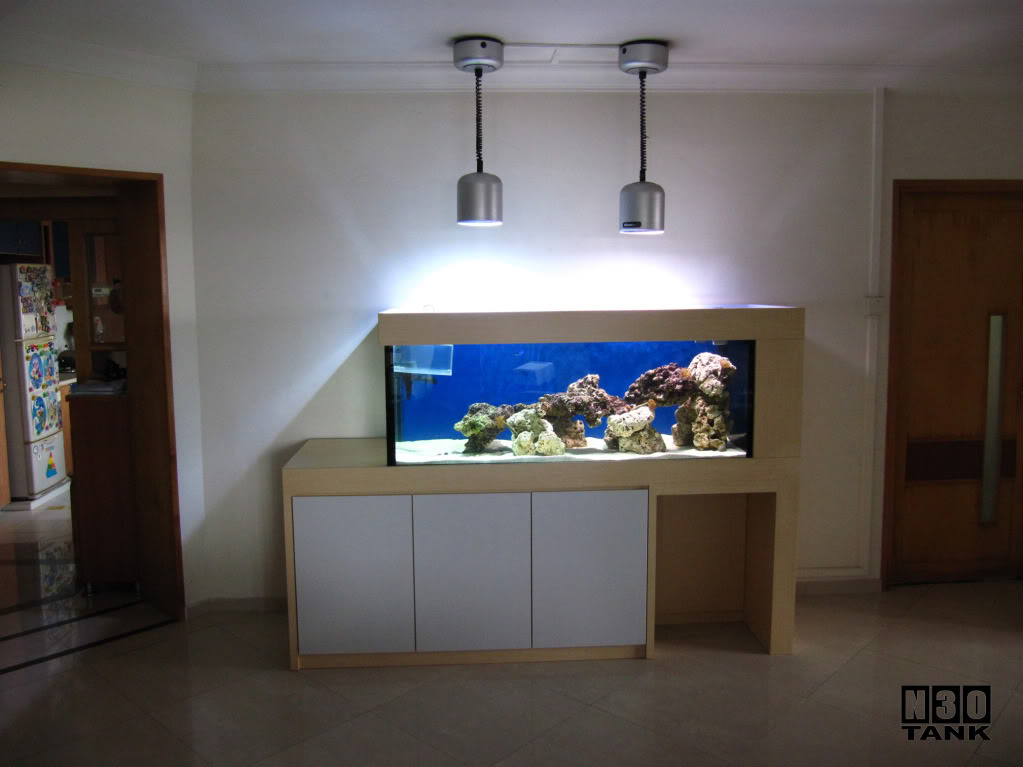 5 Feet Tanks - Custom-made 5ft Aquarium Cabinet - N30 Tank