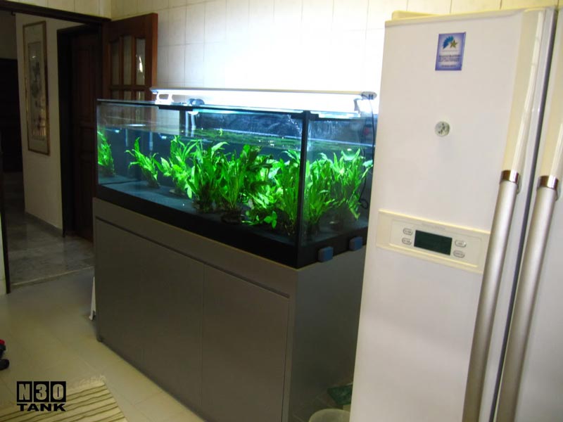 5 Feet Tanks - Custom-made 5ft Aquarium Cabinet - N30 Tank
