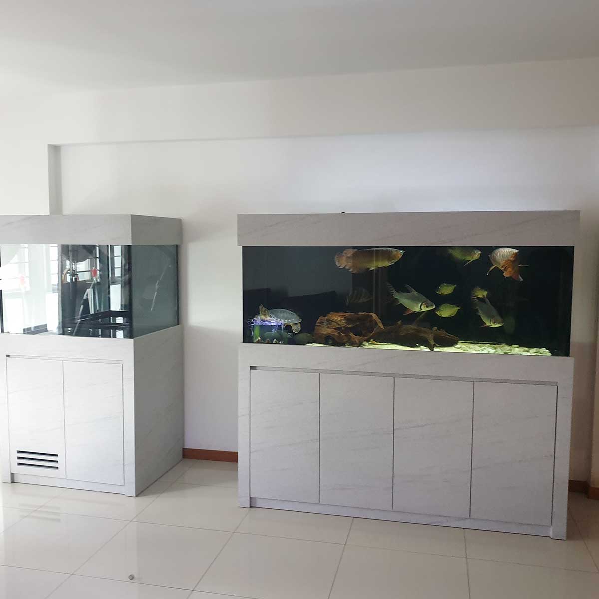 6 Feet Tanks - 6ft ADA-style Aquarium with Cabinet - N30 Tank