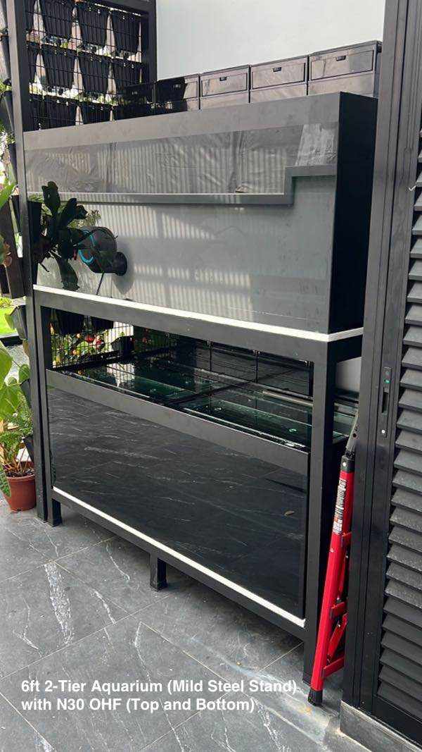 6 Feet Tanks - 6ft ADA-style Aquarium with Cabinet - N30 Tank