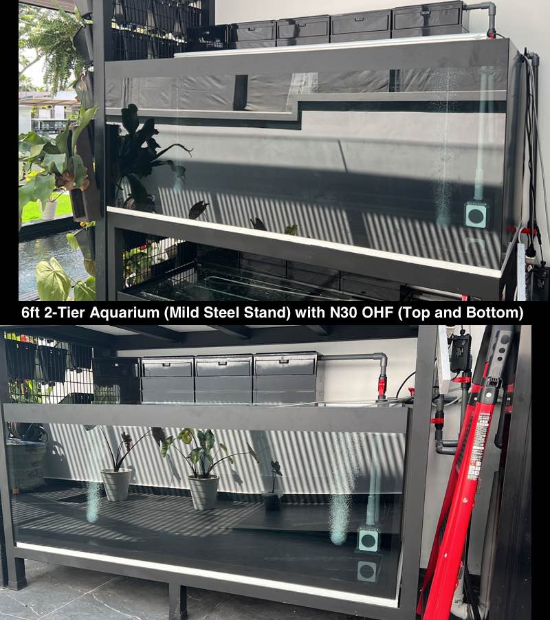 6 Feet Tanks - 6ft ADA-style Aquarium with Cabinet - N30 Tank