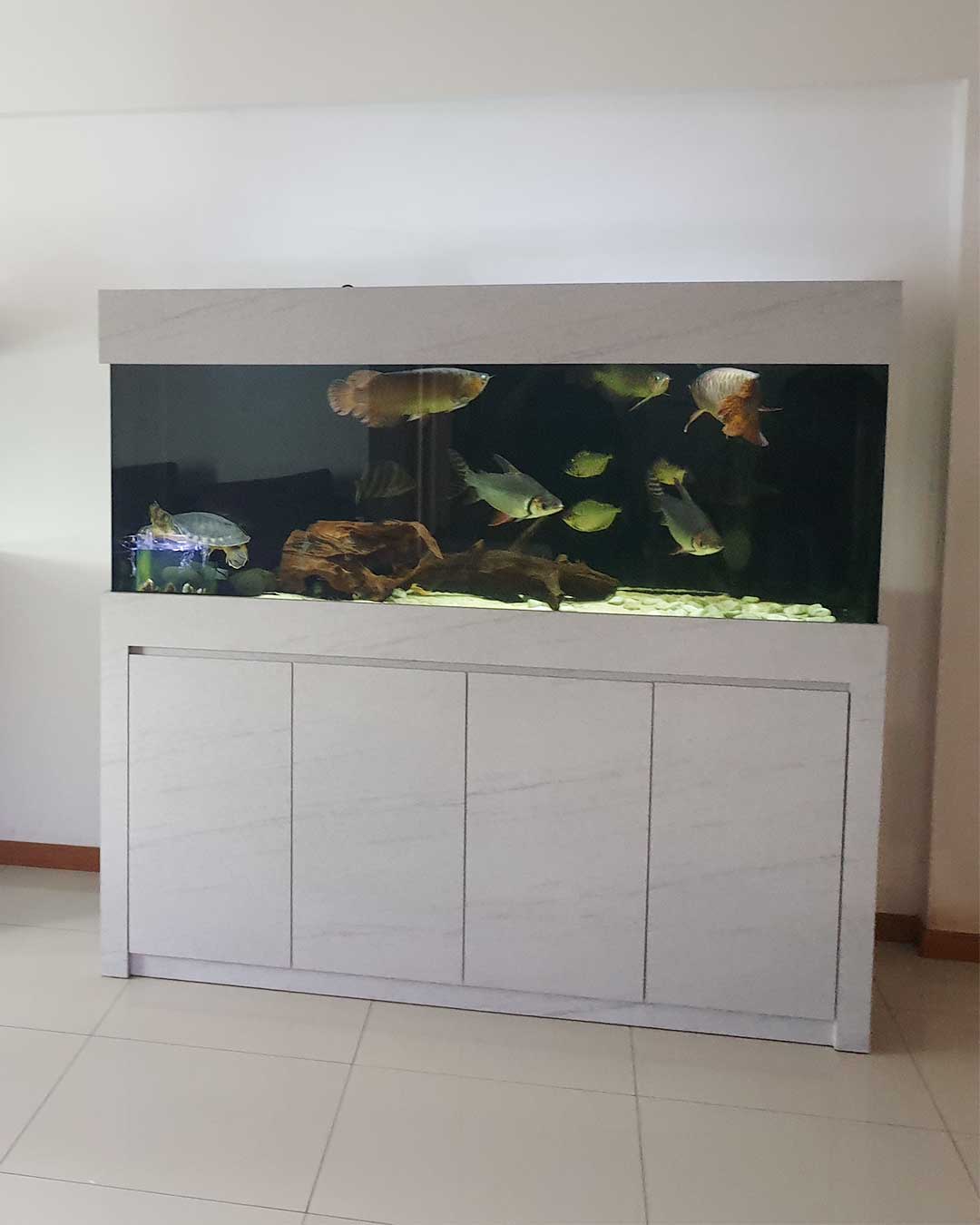 6 Feet Tanks - 6ft ADA-style Aquarium with Cabinet - N30 Tank