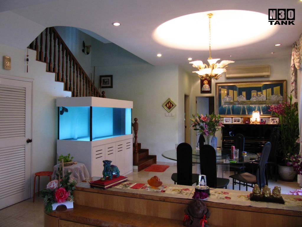 6 Feet Tanks - 6ft ADA-style Aquarium with Cabinet - N30 Tank