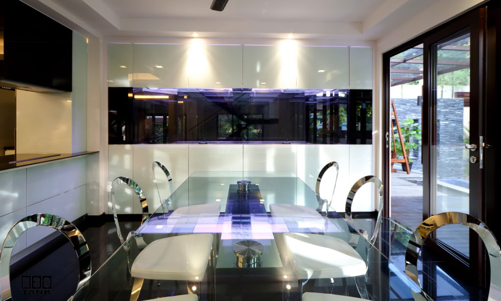 Full Height Tanks - Tall Aquarium with floor-to-ceiling Cabinets - N30 Tank