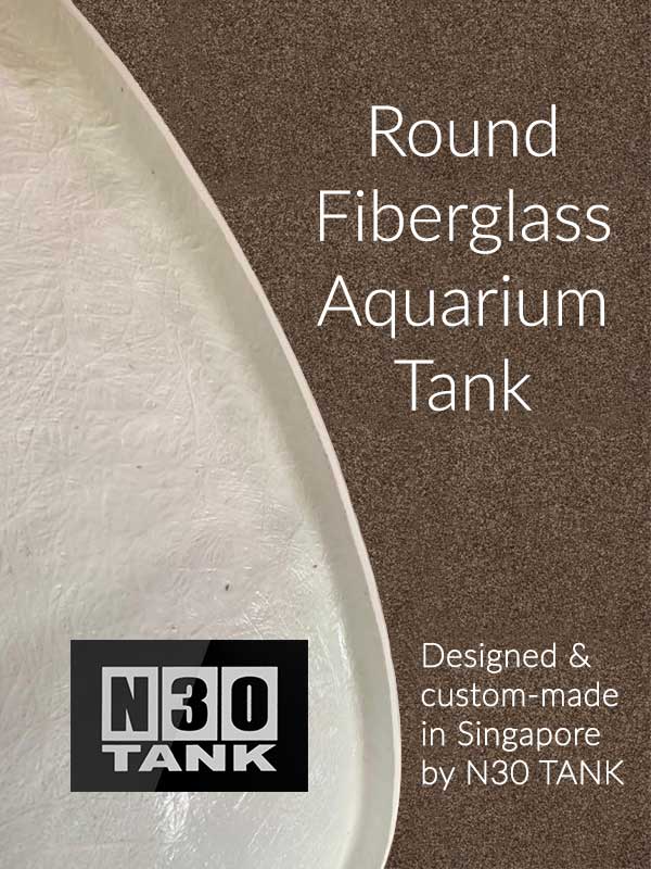 Fiberglass Aquarium Fish Tank: Limitless Design Shape Colour - N30 Tank
