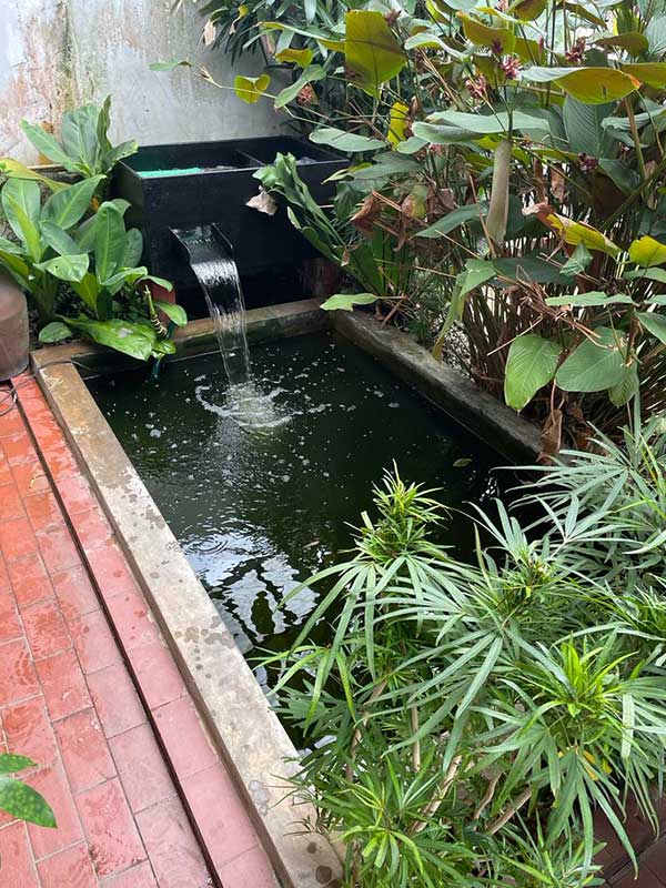 Fiberglass Aquarium Fish Tank: Limitless Design Shape Colour - N30 Tank