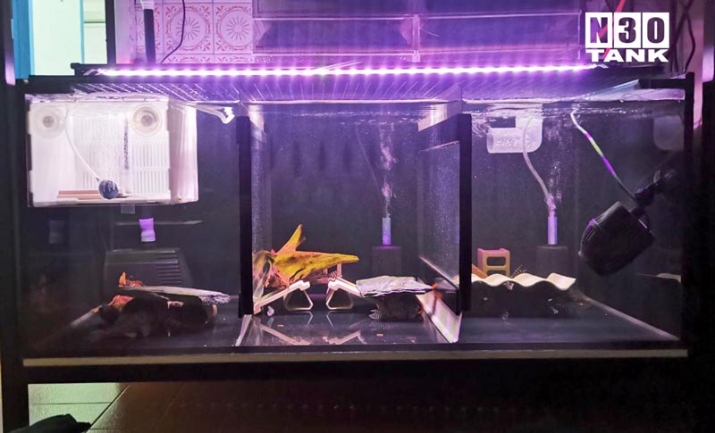 Custom-made Steel Metal Wrought Iron Stands with Aquarium Tanks - N30 Tank