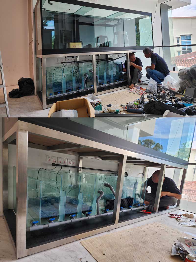 Custom-made Steel Metal Wrought Iron Stands with Aquarium Tanks - N30 Tank