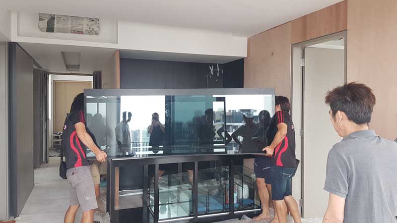 Professional Fish Tank Mover Service, Aquarium Transport - N30 Tank