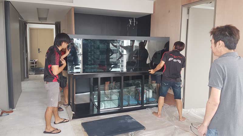 Professional Fish Tank Mover Service, Aquarium Transport - N30 Tank