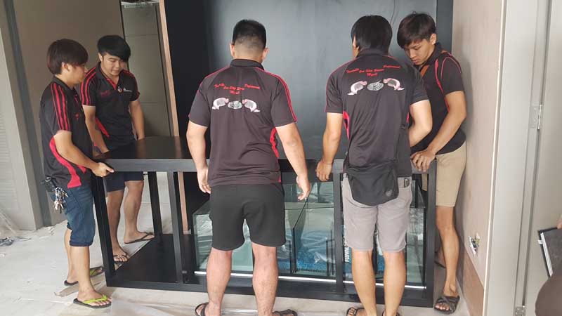 Professional Fish Tank Mover Service, Aquarium Transport - N30 Tank
