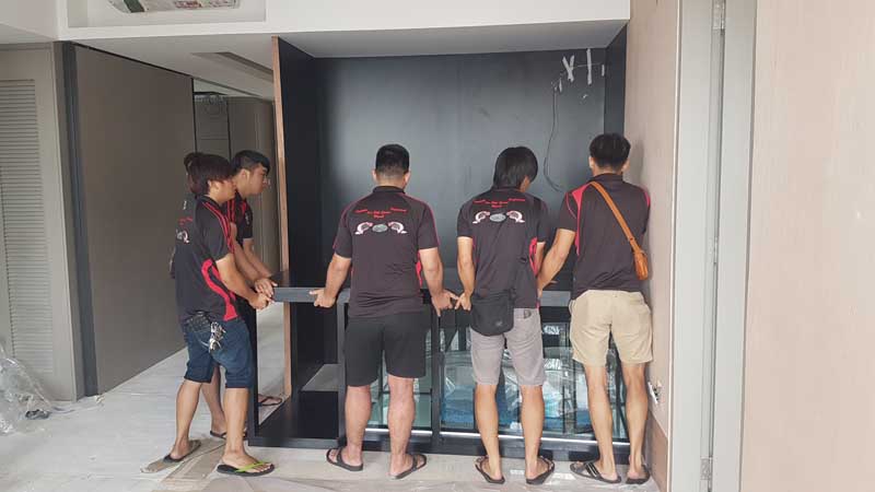 Professional Fish Tank Mover Service, Aquarium Transport - N30 Tank