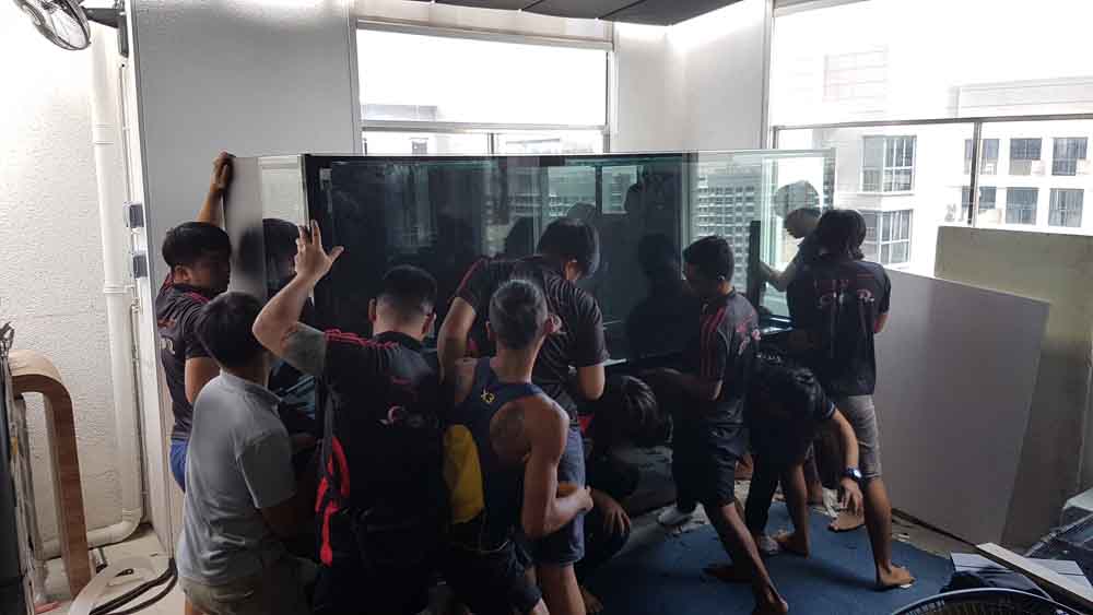 Professional Fish Tank Mover Service, Aquarium Transport - N30 Tank
