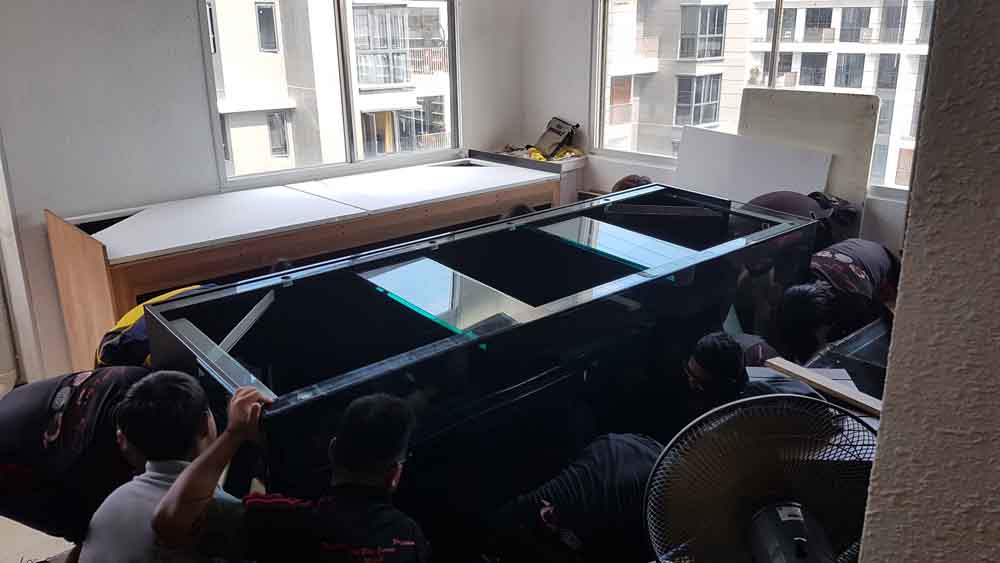 Professional Fish Tank Mover Service, Aquarium Transport - N30 Tank