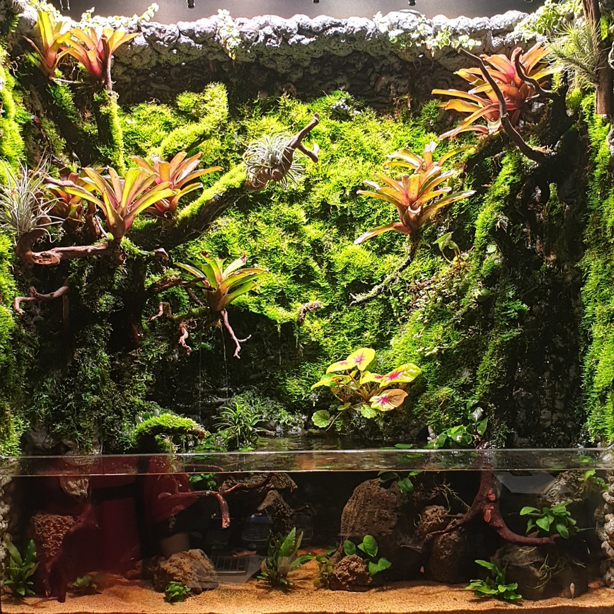 Paludarium & Vivarium Wall Tank - Aquatic Rocky Terrains - N30 Tank