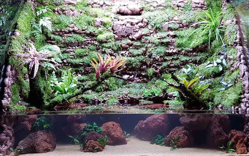 Paludarium & Vivarium Wall Tank - Aquatic Rocky Terrains - N30 Tank