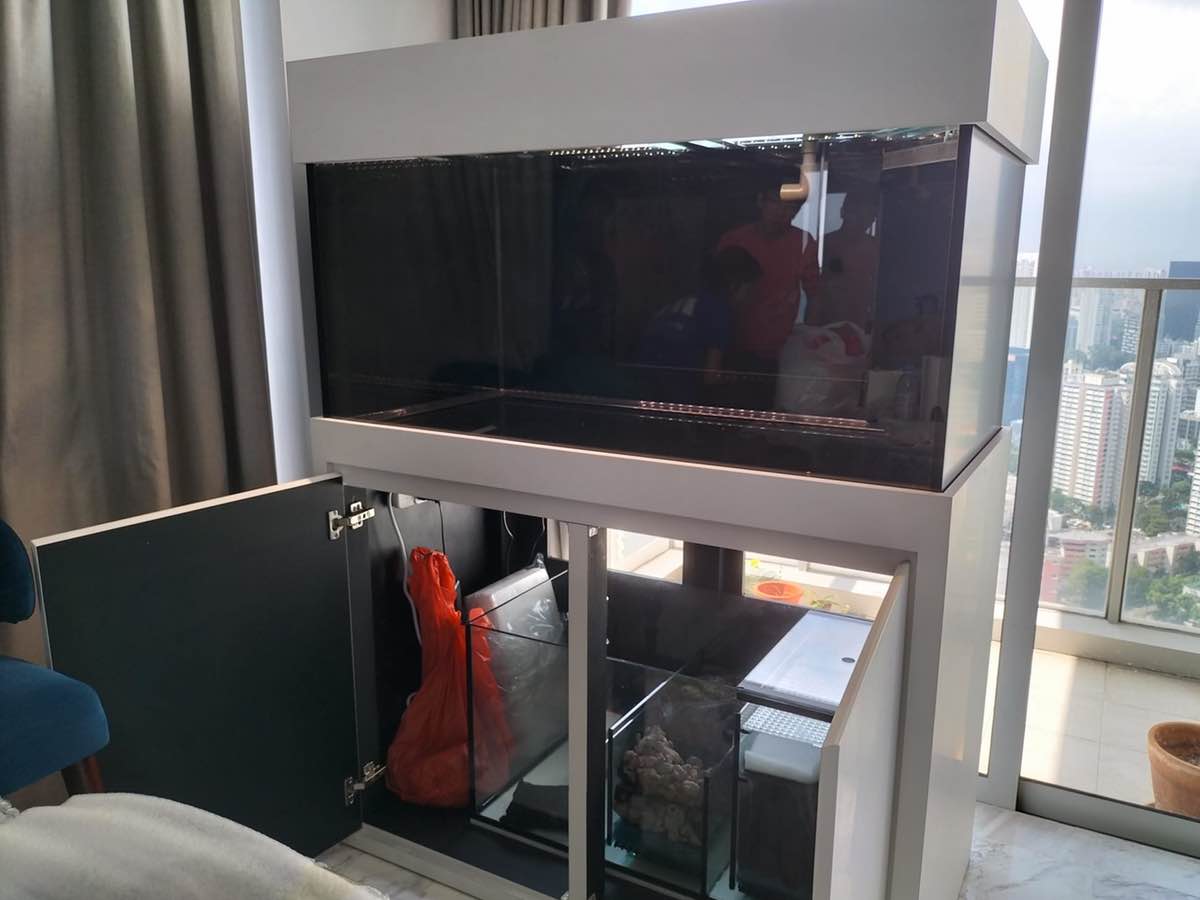Ready-Made Aquarium Fish Tank with Cabinet & Sump - N30 Tank