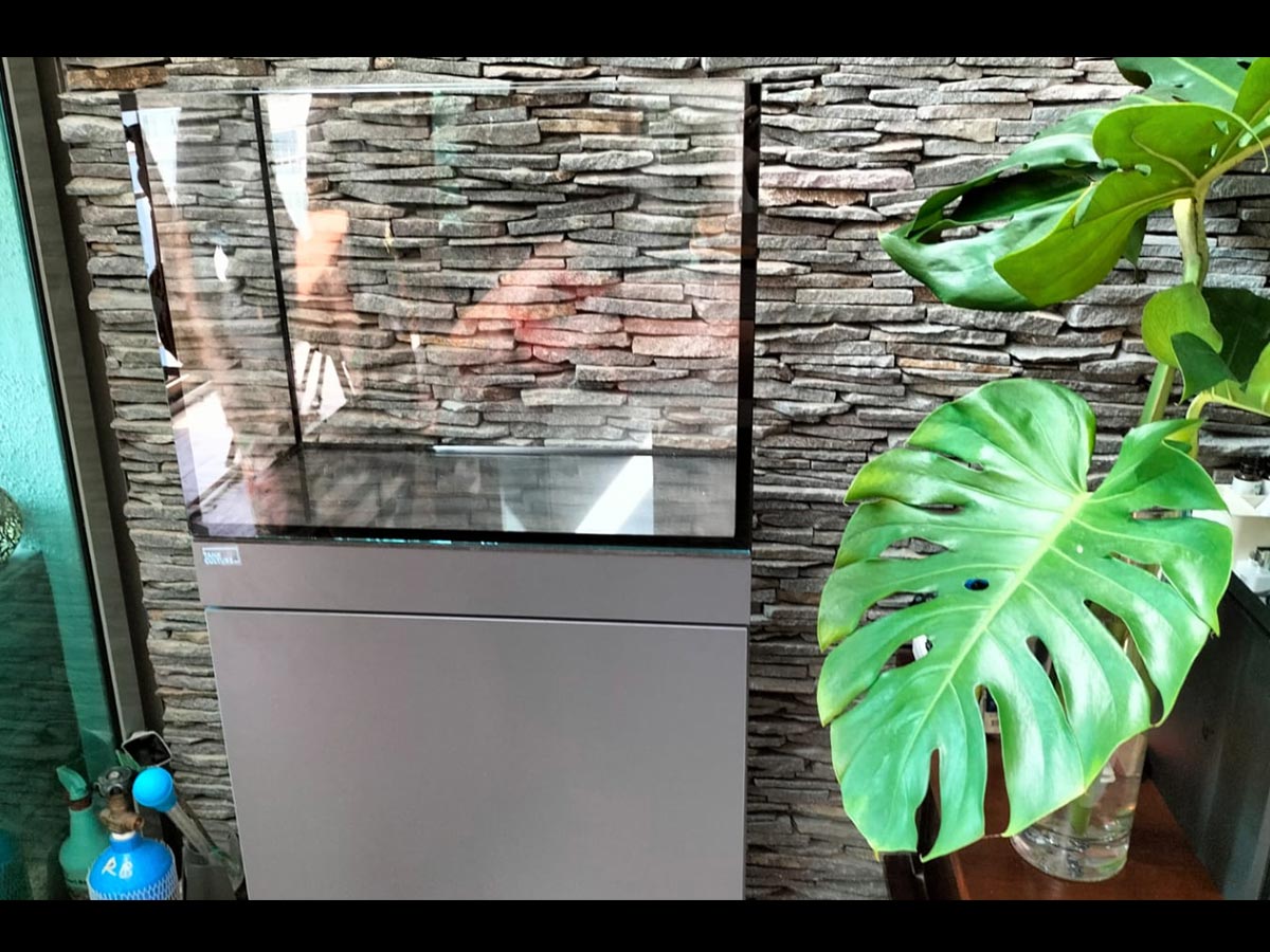 Ready-Made Aquarium Fish Tank with Cabinet & Sump - N30 Tank