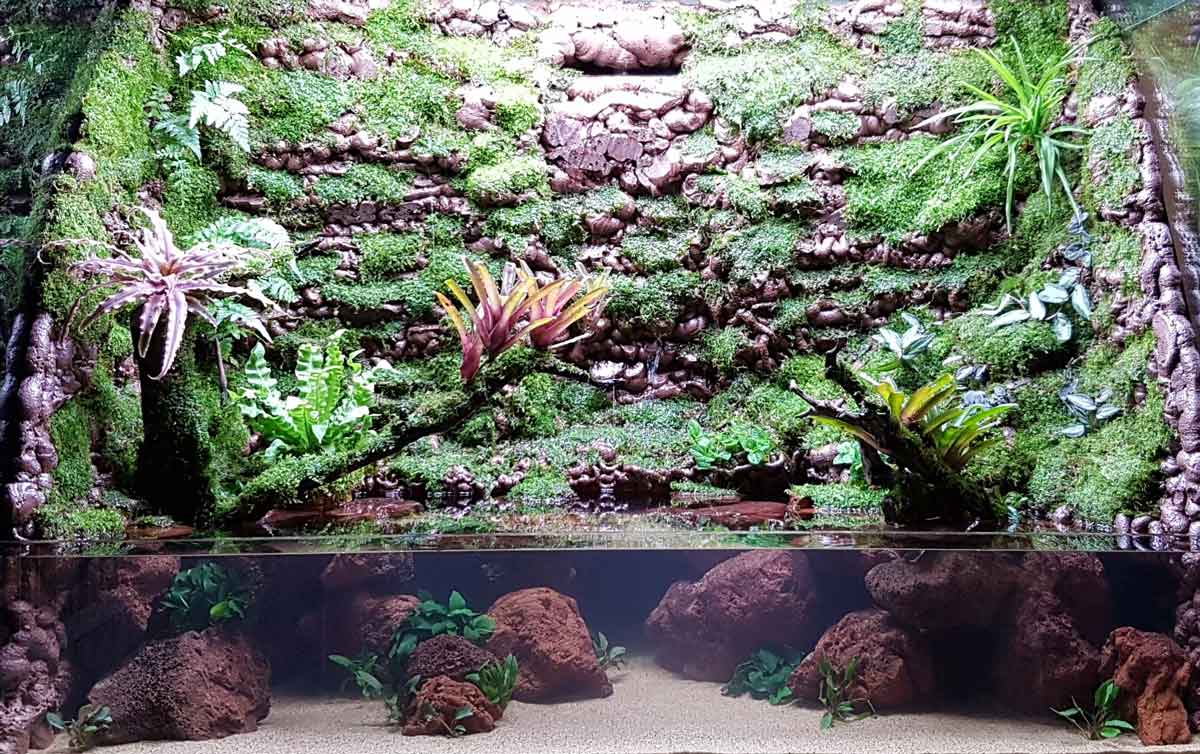 Aquarium Scaping Singapore - Aquascaping Service for Home & Office ...