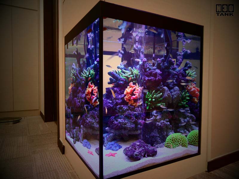 Aquarium Scaping Singapore - Aquascaping Service for Home & Office ...