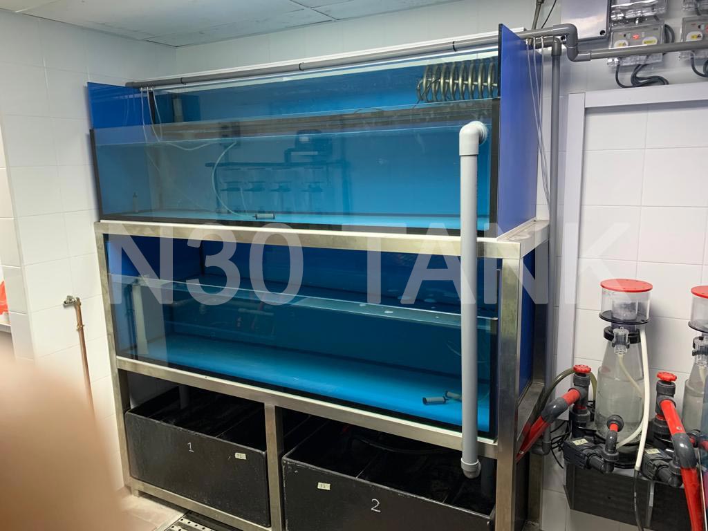 Seafood Tanks, Custom-Made Seafood Aquarium in Restaurant - N30 Tank