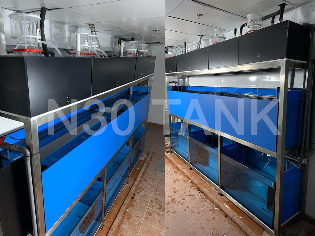 Seafood Tanks, Custom-Made Seafood Aquarium in Restaurant - N30 Tank