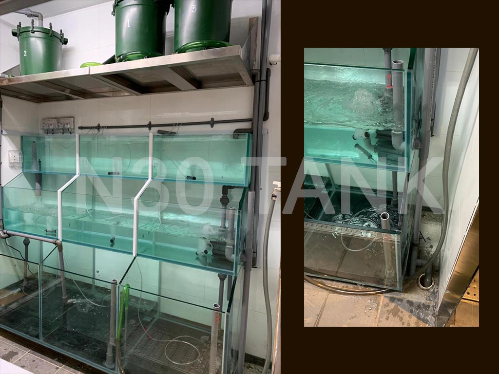 Seafood Tanks, Custom-Made Seafood Aquarium in Restaurant - N30 Tank