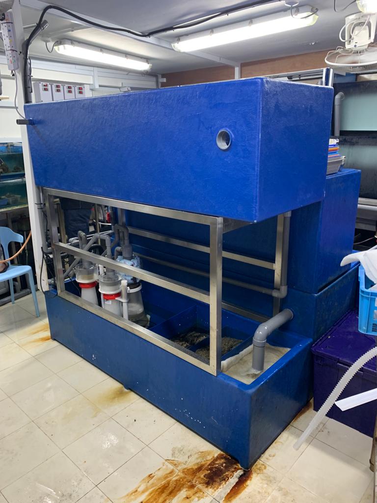 Seafood Tanks, Custom-Made Seafood Aquarium in Restaurant - N30 Tank