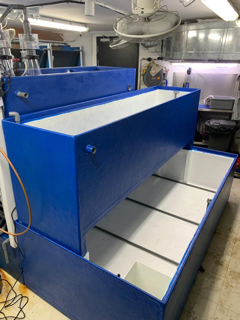 Seafood Tanks, Custom-Made Seafood Aquarium in Restaurant - N30 Tank