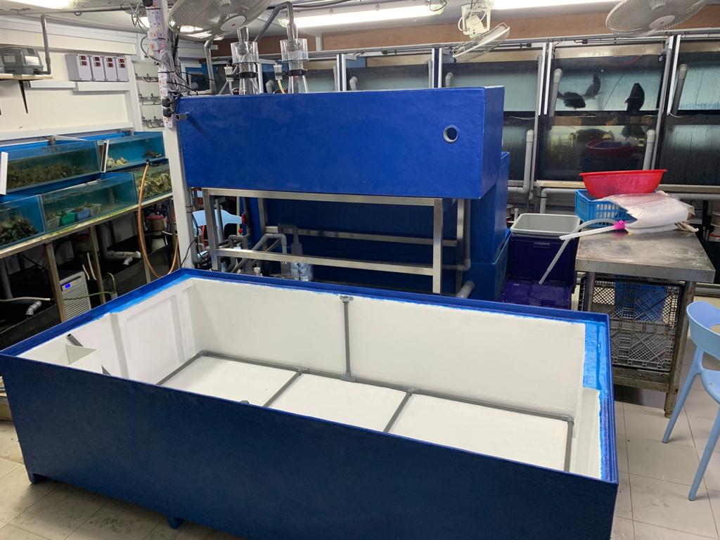 Seafood Tanks, Custom-Made Seafood Aquarium in Restaurant - N30 Tank