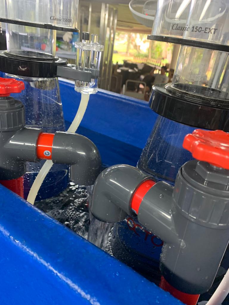 Seafood Tanks, Custom-Made Seafood Aquarium in Restaurant - N30 Tank