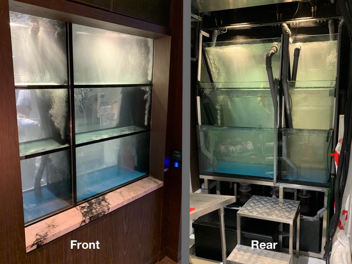 Seafood Tanks, Custom-Made Seafood Aquarium in Restaurant - N30 Tank