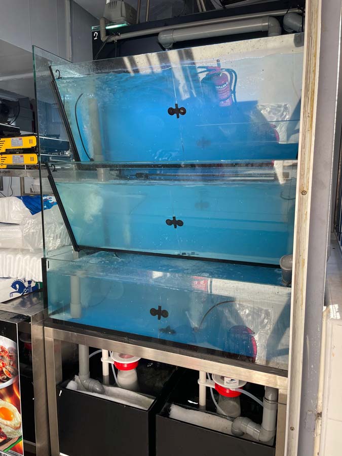 Seafood Tanks, Custom-Made Seafood Aquarium in Restaurant - N30 Tank