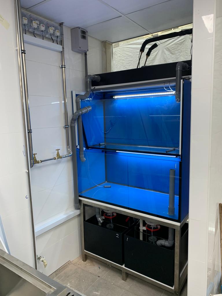 Seafood Tanks, Custom-Made Seafood Aquarium in Restaurant - N30 Tank