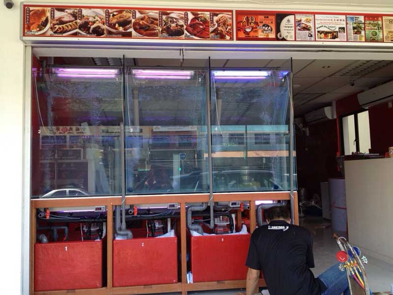 Seafood Tanks, Custom-Made Seafood Aquarium in Restaurant - N30 Tank