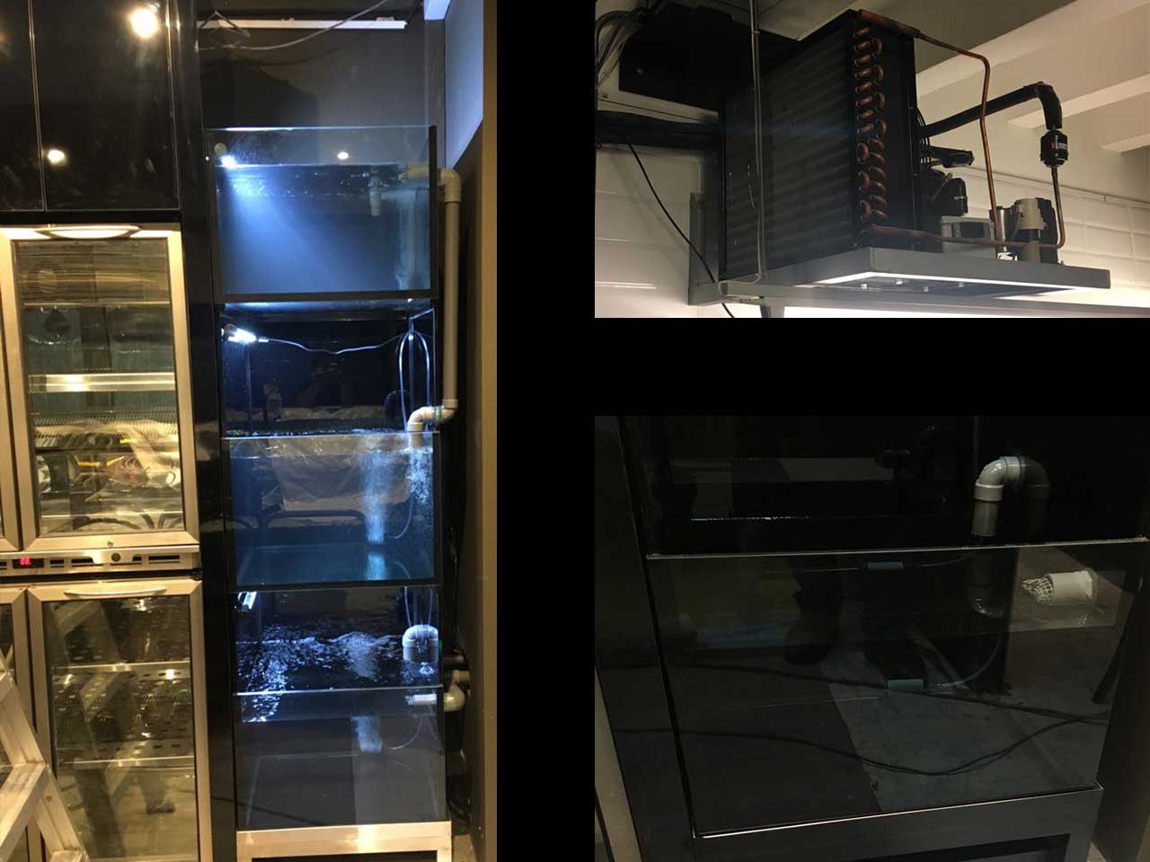 Seafood Tanks, Custom-Made Seafood Aquarium in Restaurant - N30 Tank