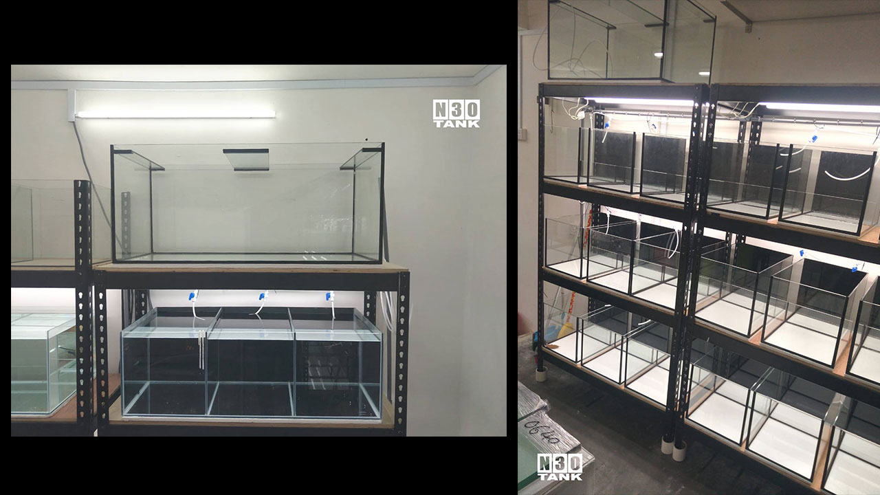 Seafood Tanks, Custom-Made Seafood Aquarium in Restaurant - N30 Tank